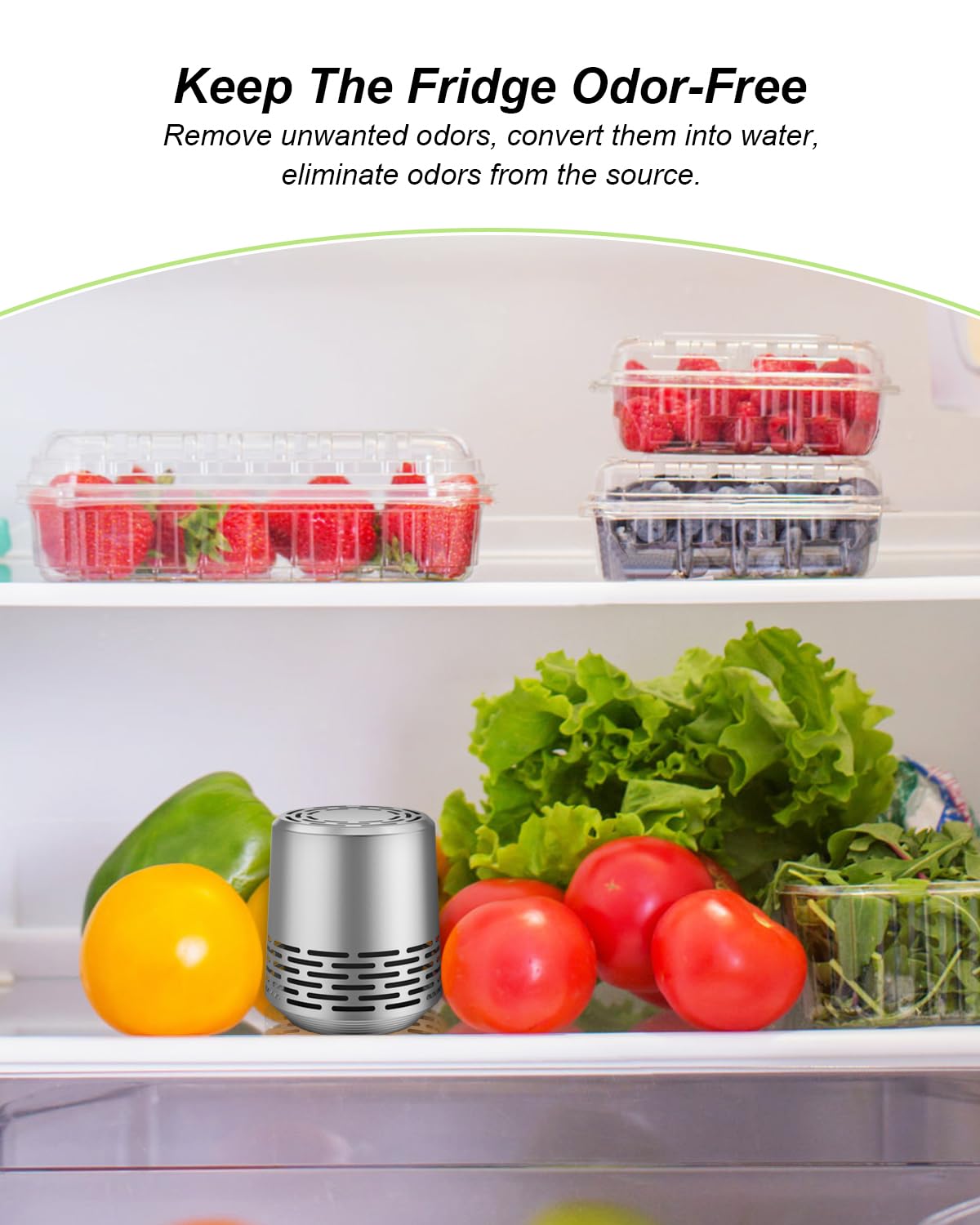 NAMOWELL Refrigerator Deodorizer, Fridge Odor Eliminator Lasts for 10 Years, More Effective Than Baking Soda and Bamboo Charcoal Air Purifying Bags, Silver