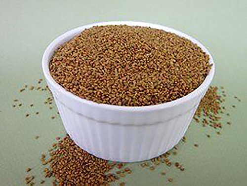 The Sprout House Certified Organic Non-GMO Sprouting Seeds Alfalfa 1 Pound