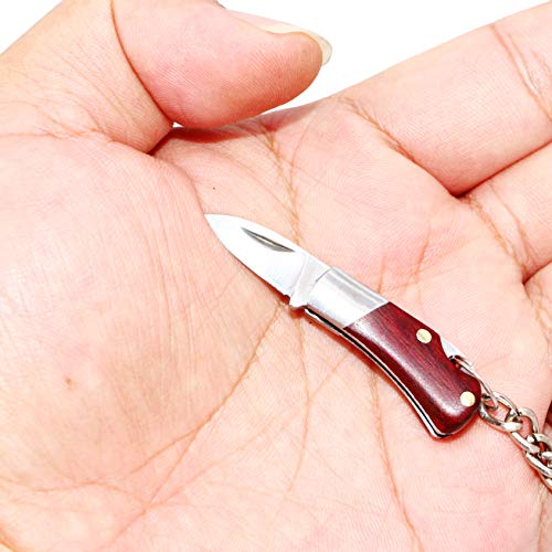 Miniature Gadgets Pocket Knife Collection, Eastern Delights EDC Tiny Multifunction Tool Pendant Decoration (Ebony Folding)