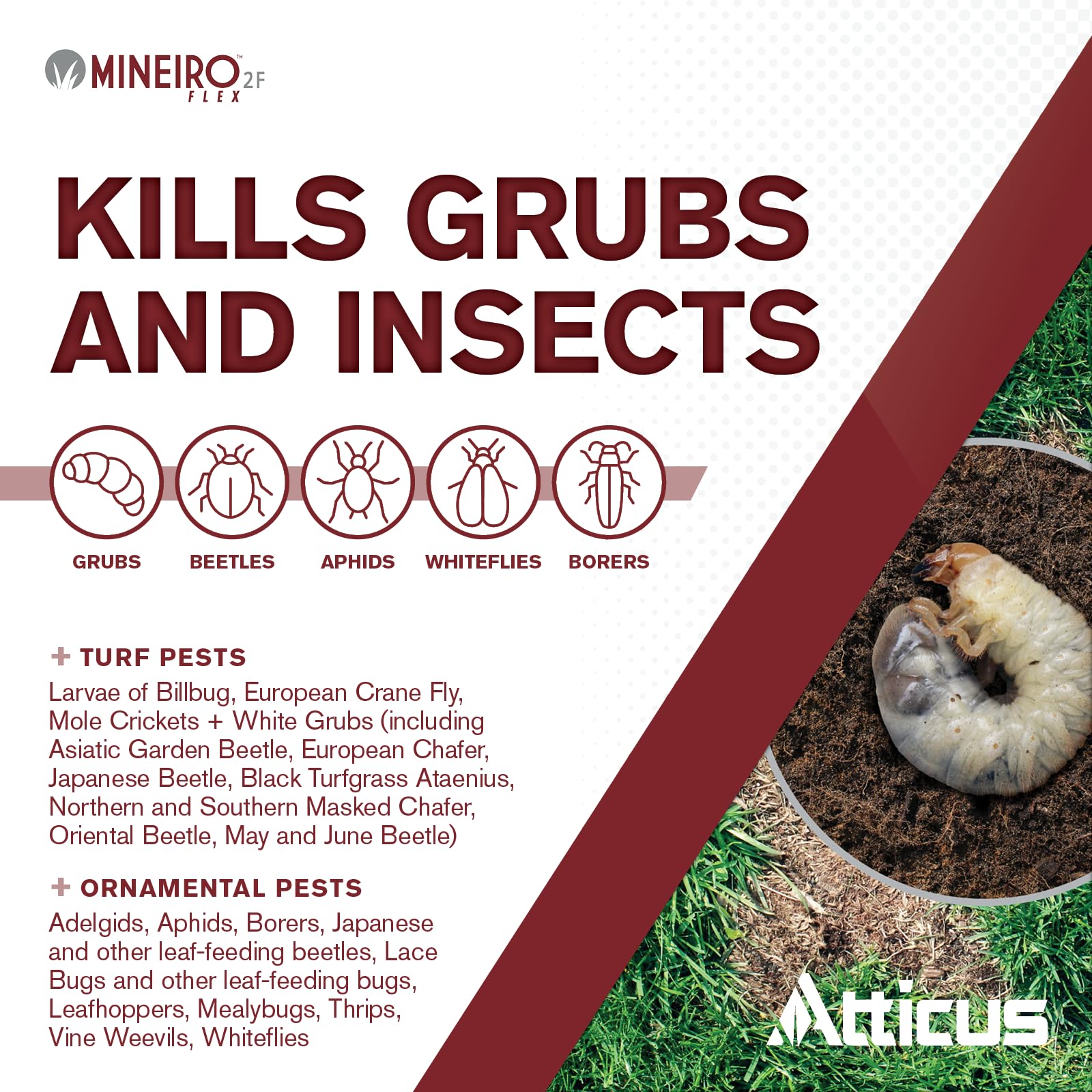 Mineiro 2F Flex Imidacloprid Systemic Insecticide (1 Gal) by Atticus β Grub and Insect Control in Lawns and Landscapes