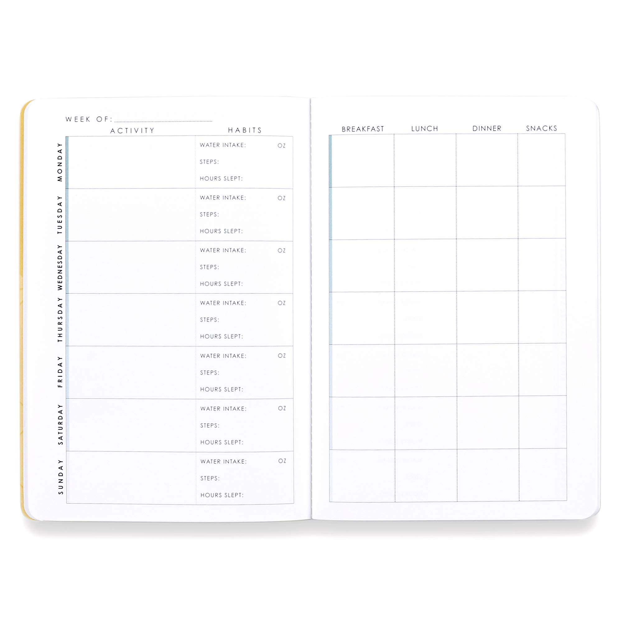 Focused Wellness Log, Petite Planner & Agenda. Features Sleep Log & Tracker, Water Intake, Step Track & Health Goal Log. Includes Motivational Sticker Set by Erin Condren