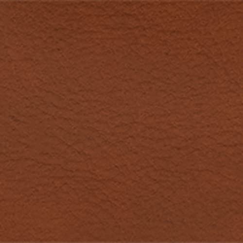 Fossil Women's Liza Leather Camera Bag Purse Handbag, Brown (Model: ZB1771200)