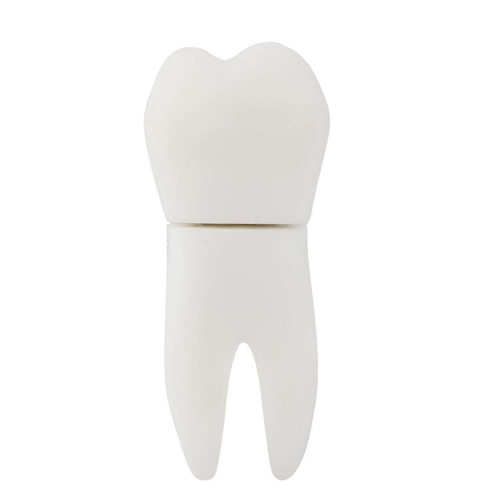 Furnoor Tooth Shape USB Storage, Tooth Shape Flash Drives Storage USB 2.0 Interface U Disk Memory Stick 16G Drive Storage