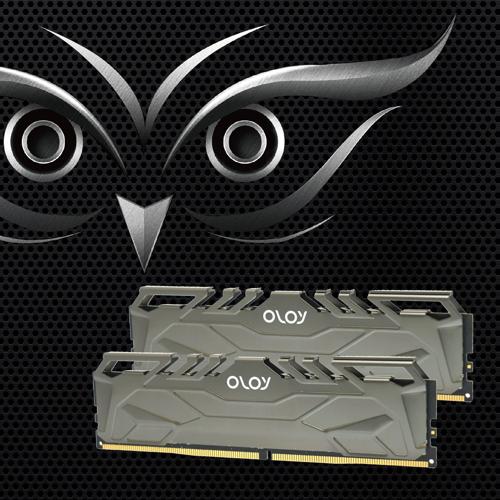 OLOy DDR4 RAM 16GB (2x8GB) Titanium Owl 3200 MHz CL18 1.35V 288-Pin Desktop Gaming UDIMM (MD4U0832182BHIDA)