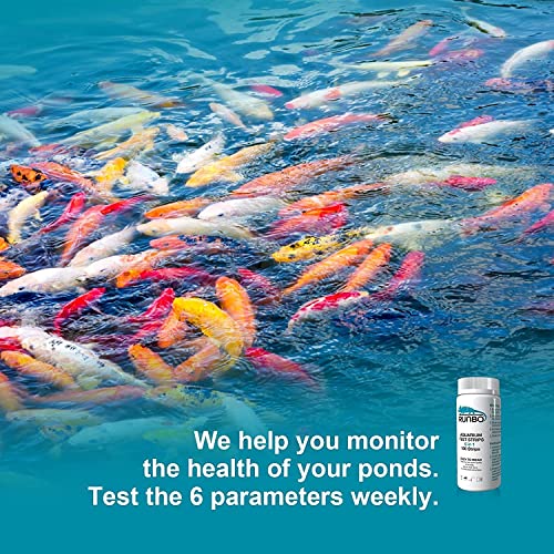 RUNBO Aquarium Test Strips 6 in1 for Fresh/Salt Water Fish Tank Aquarium, 100 Count Easy and Accurate Test Nitrate, Nitrite, General Hardness, Free Chlorine, Carbonate, Ph