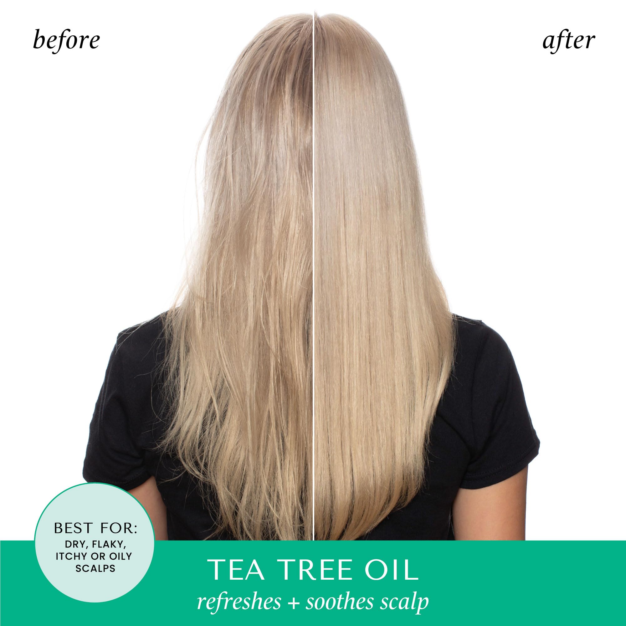 HASK Tea Tree Back to School Pack: Tea Tree Oil & Rosemary Shampoo and Conditioners and a 2-pack of 5-in-1 Leave In Conditioner Sprays