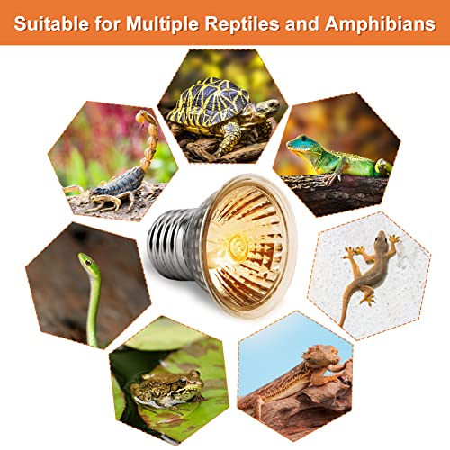 Pilarmuture 2PCS 75W Reptile Heat Lamp, UVA UVB Full Spectrum Reptile Turtle Heating Lamp Bulbs E27 Sunbathe Heat Lamp Basking Bulb for Reptile Amphibian Turtle Lizard (with 2Pcs Coconut Tree)