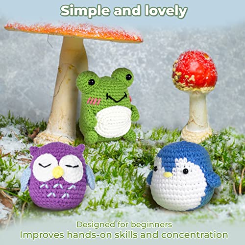 PIPAPI Crochet Kit for Beginners, 3 Pattern Animals-Owl, Penguin, Frog, Knitting Kit for Adult Kids with Step-by-Step Video Tutorials and Yarns, Hook, Accessories