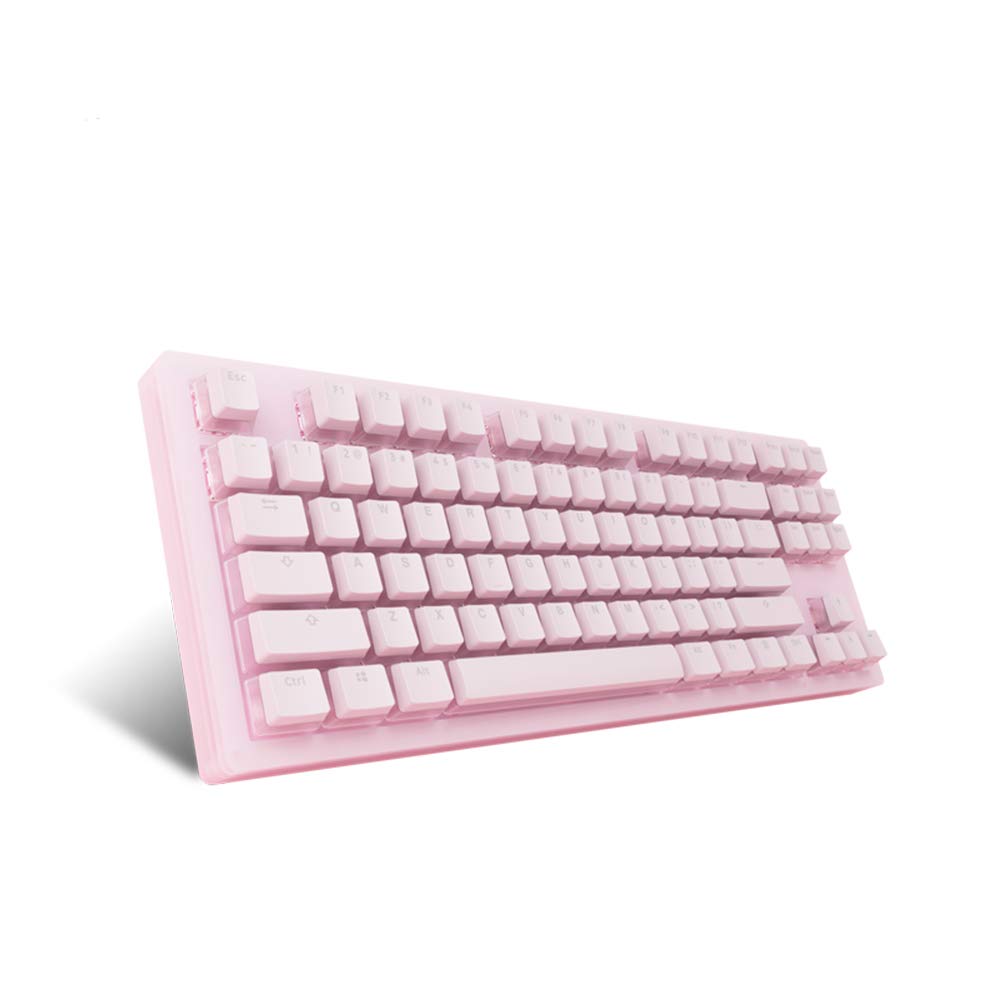 EPOMAKER Sakura 87 Keys RGB Wired Mechanical Keyboard with Acrylic Translucent Case, PBT Pudding Keycaps for Gaming/Mac/Win (Gateron Pink Switch, Sakura)