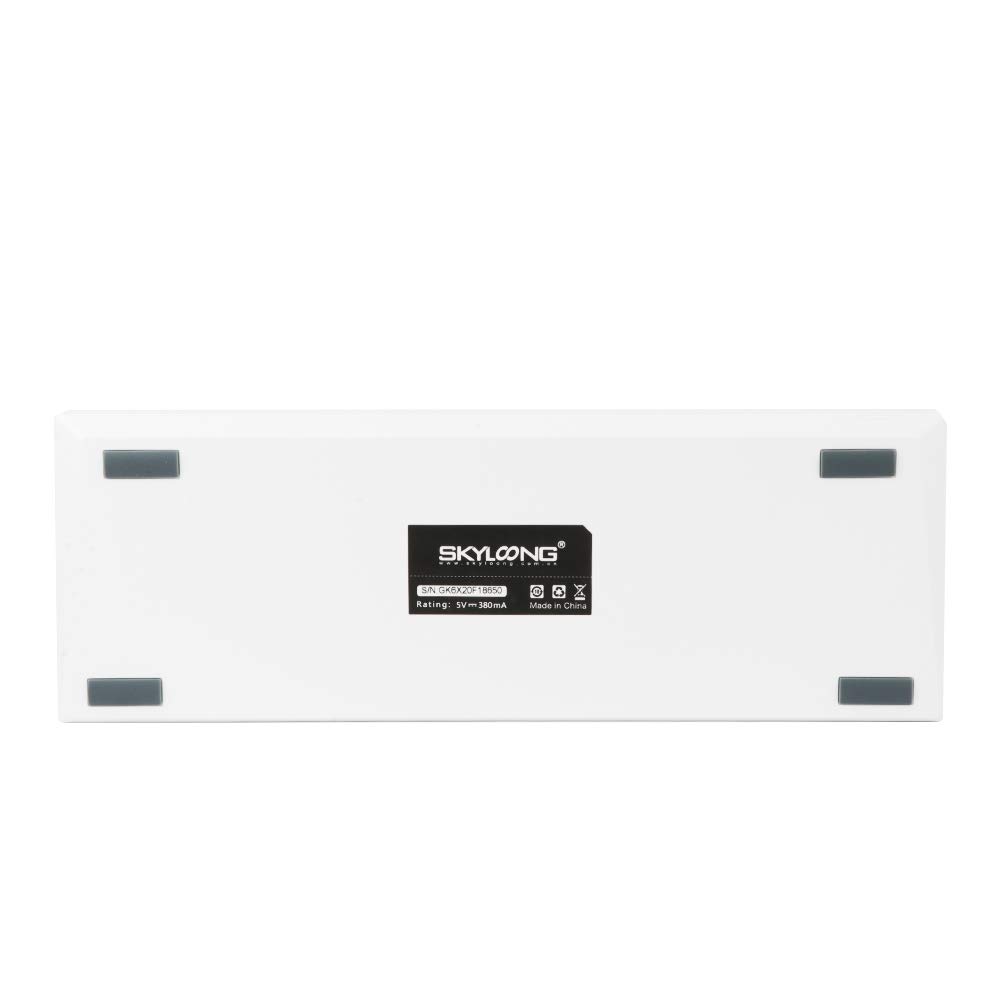 EPOMAKER SKYLOONG SK64 64 Keys Wired Hot Swappable Mechanical Keyboard with RGB Backlit, PBT Keycaps, Arrow Keys for Win/Mac/Gaming