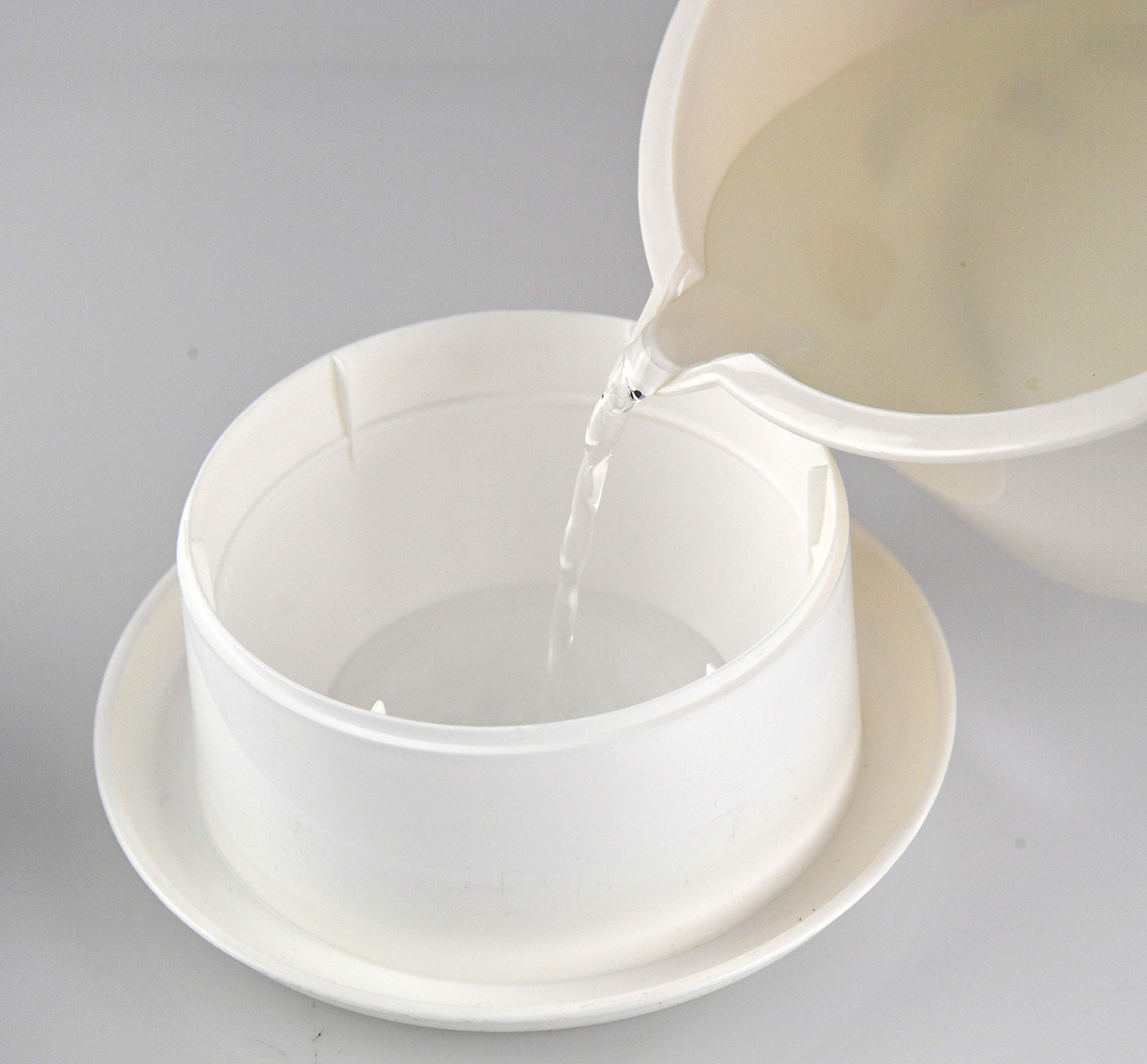 HOME-X Jumbo Hen-Shaped Microwave Egg Boiler with Lid, Cook 1 to 4 Eggs, Quick Hard Boiled Egg Maker, Breakfast Cooking Utensils