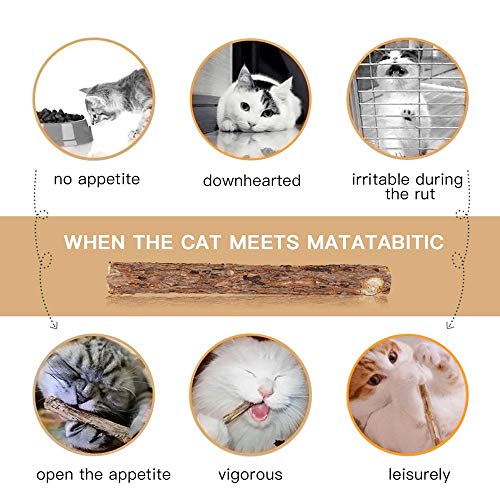 WoLover Silvervine Sticks for Cats, Natural Catnip Sticks Matatabi Chew Sticks Teeth Molar Chew Toys for Cat Kitten Kitty (at Least 12 PCS)