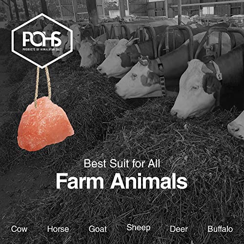 POHS Himalayan Rock Salt Lick 6 lbs Pack of 2 with Rope for Horse, Deer, Sheep, Cow, Goat, Livestock Animals - Original Himalayan Rock Salt Block