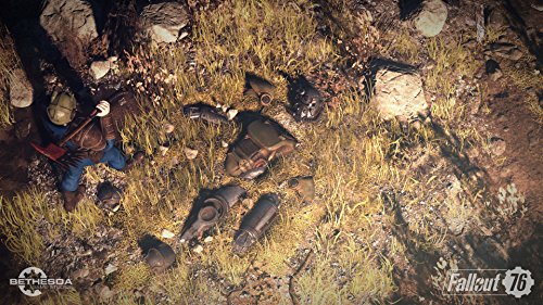 Fallout 76 (PS4)