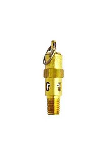 Milton 1090-200 1/4" MNPT ASME Safety Valve - 200 PSI Pop off Pressure