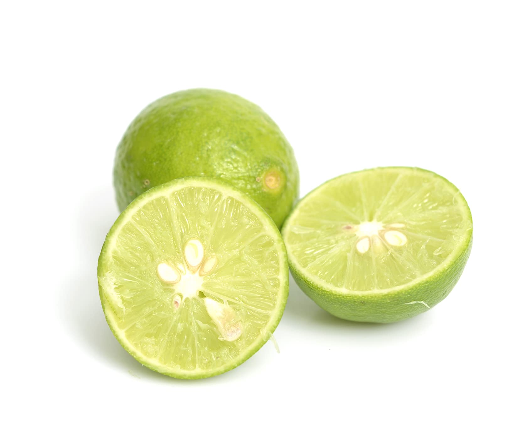 Gerald Winters and Son Key Lime Tree Starter Plant . Citrus aurantifolia. 3β - 5β