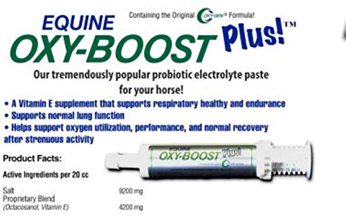 Oxy-Gen Oxy-Boost Probiotic Electrolyte Paste for Horses | Contains Vitamin E, Omega 3, Omega 6 and Octacosanol For Enhanced Performance | 80cc Paste (4 Doses)| Made in USA
