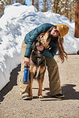 Hydro Flask 12 oz. Coffee Travel Mug - Insulated, Stainless Steel, & Reusable with Wide Flex Sip Lid, Olive