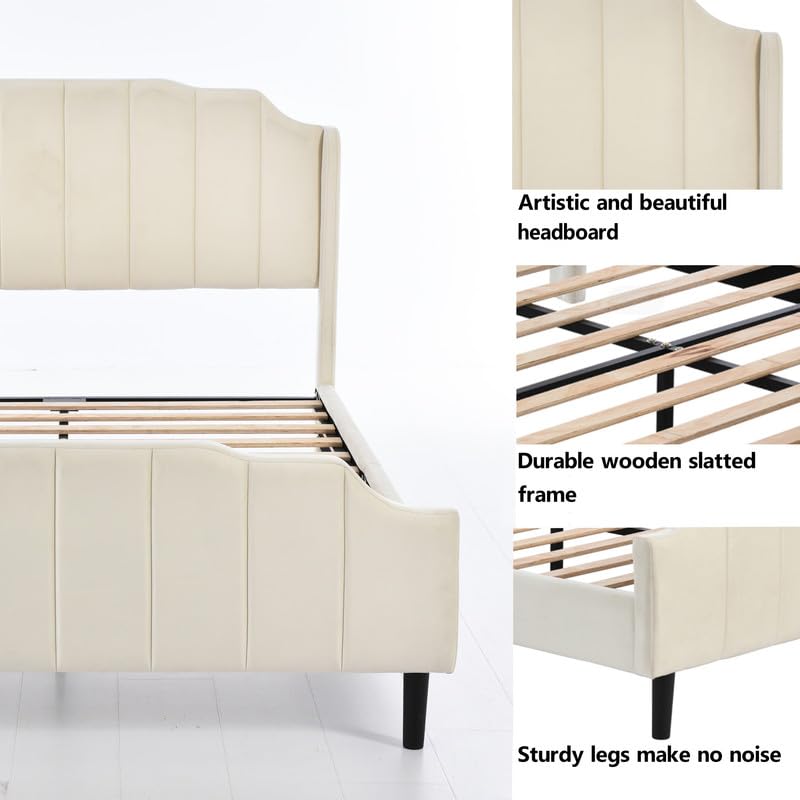 FDSPDO Queen Size Upholstered Platform Bed with Headboard and Footboard,No Box Spring Needed, Velvet Fabric,Beige