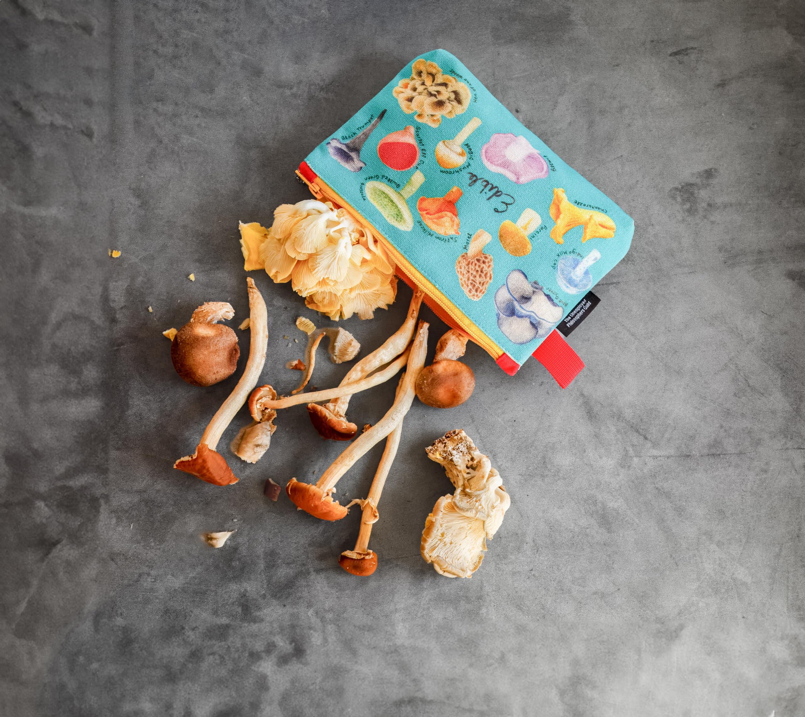 The Unemployed Philosophers Guild Mushroom Bag - 9" Canvas Zipper Toadstool and Nature Themed Pouch for Pencils, Tools, Cosmetics, Toiletries, and More