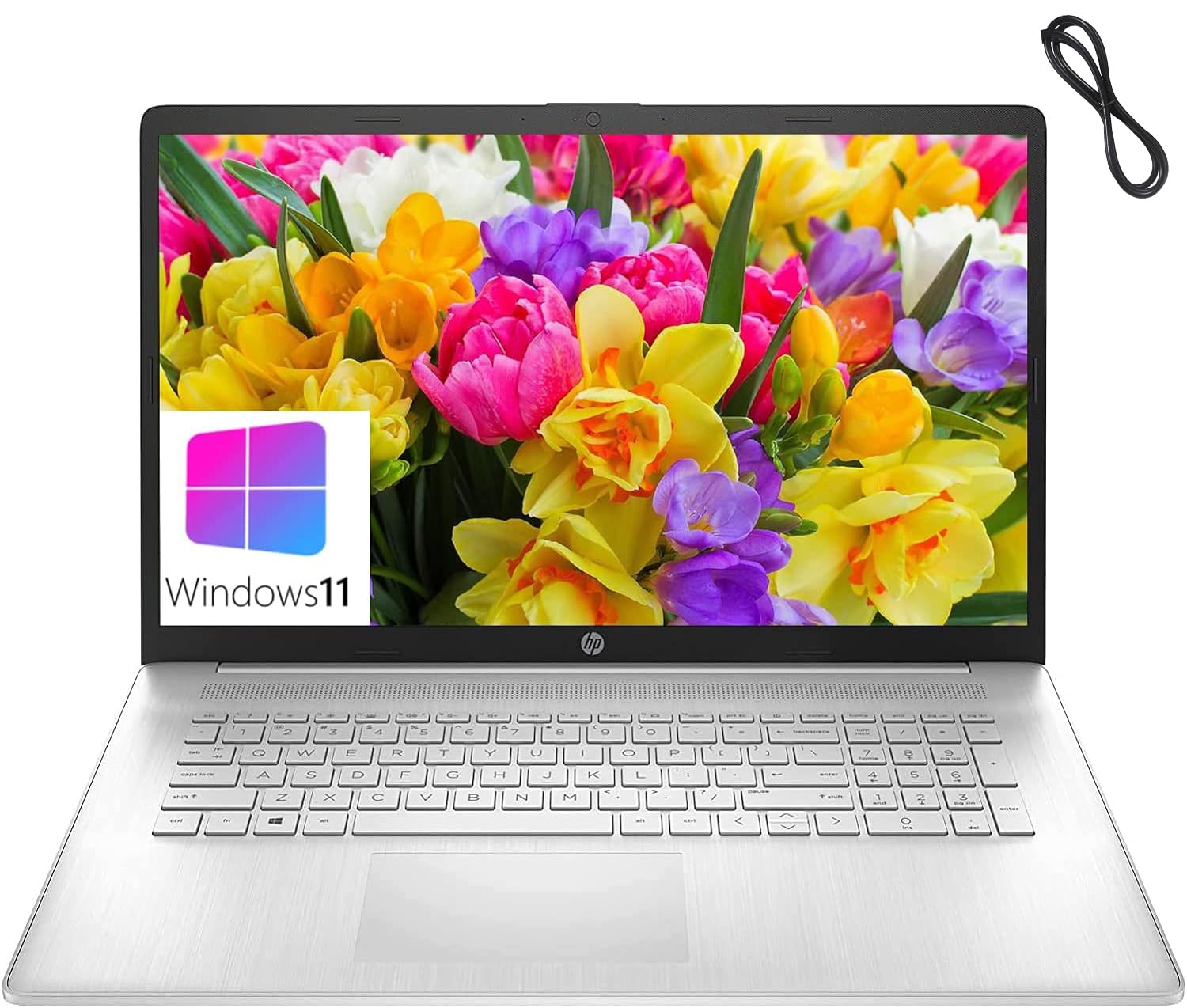 HP 17 17.3" HD+ Laptop Computer, Intel Quad-Core i7-1165G7 up to 4.7GHz, 64GB DDR4 RAM, 2TB PCIe SSD, 802.11AC WiFi, Bluetooth 5.0, Natural Silver, Windows 11 Home, BROAG Cable