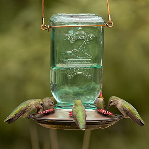 More Birds Mason Jar Hummingbird Feeder, Glass Hummingbird Feeders for Outdoors, 5 Feeding Stations, 25 Ounces