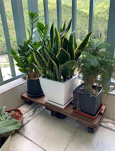 Plant Stands with Wheels, Plant Dolly with Wheels, Plant Roller, Heavy Duty Plant Caddy Caster for Patio Outdoors, Holds Up to 100 Lbs, 7.9 x 19.7 Inch
