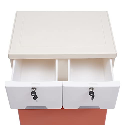 Plastic Dressers with 6 Drawers Storage Cabinet Tall Dresser with Wheels & Lock for Clothes, Bedroom, 19.69 * 13.78 * 40.16inch (Style 2)