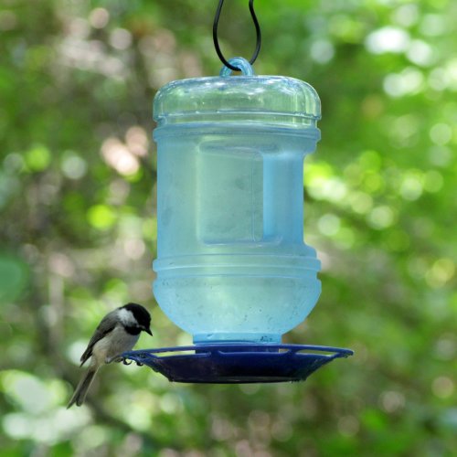 Perky-Pet 780 Outdoor Hanging Water Cooler Bird Waterer and Dispenser,Blue, 1.5 Qt Capacity