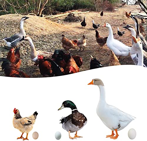 HorLaLa Egg Collection Apron with 18 Pockets for Gathering Chicken Duck Goose Eggs,Apron Fresh Eggs,Egg Collecting and Waist Backyard Coops,Great Gifts Mums Friends, Blue, 21inch