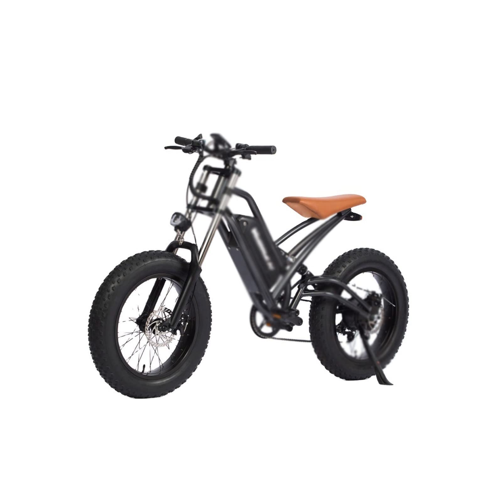 HESNDddzxc Electric Bicycle 20 Inch Electric Bicycle Variable Speed Off-Road Booster with Removable Electric Mountain Bike