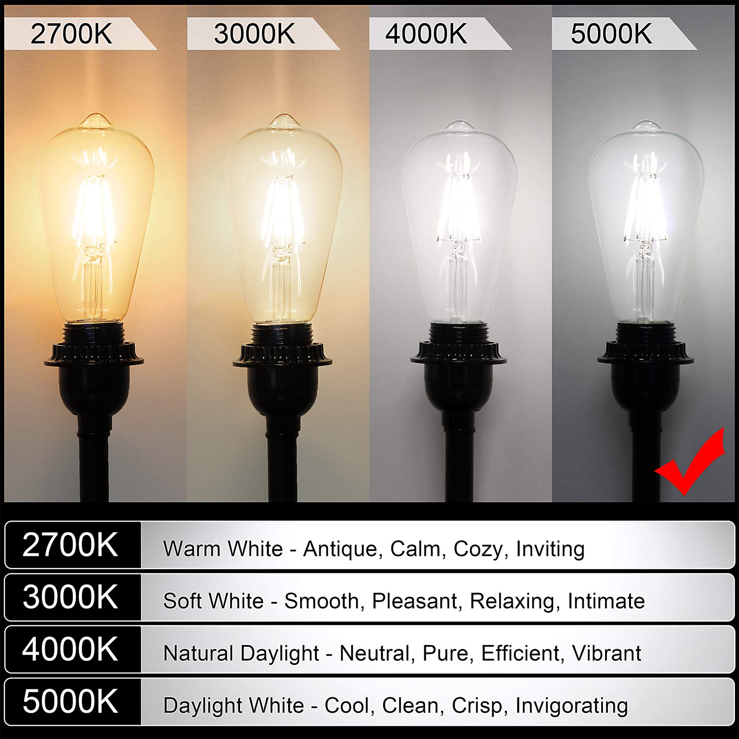 Edison Bulb, Dimmable Vintage LED Filament Light Bulbs Daylight White 5000K, SHINE HAI 4W ST64 Antique LED Squirrel Cage Lights 40W Equivalent, E26 Base, Pack of 12