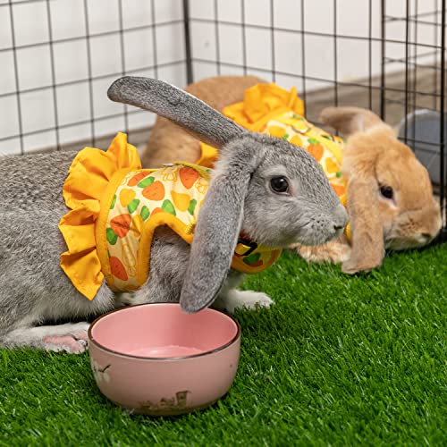 Rabbit Harness and Leash for Walking Escape Proof - Cute Carrot Pattern Mesh Breathable Bunny Vest Harness Outdoor Camping Hiking Training - Also Suit for Ferret Kitten Puppy Small Animals