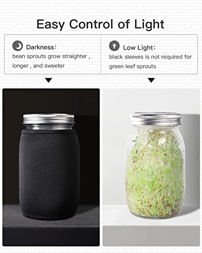 RAYPLE Sprouting Jar Kit, 2 Wide Mouth Mason Jars, Premium Stainless Steel Screen Sprout Lids, Blackout Sleeves, Tray, Stand, Sprouting Kit for Growing Broccoli,Alfalfa,Mung Bean
