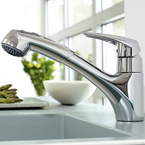 Grohe Eurodisc Single-Handle Pull-Out Kitchen Faucet