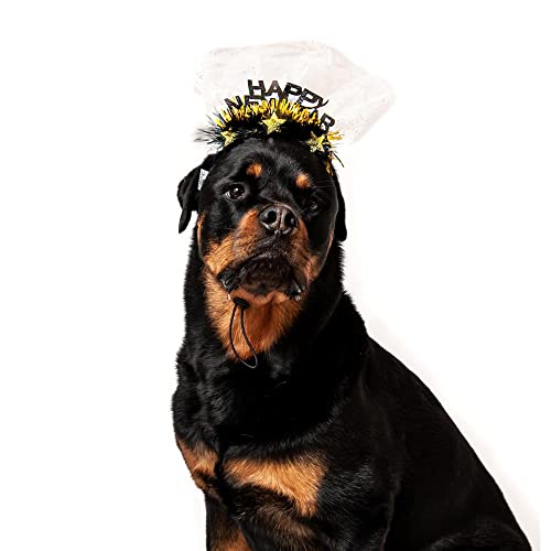 Midlee Happy New Year Dog Headband