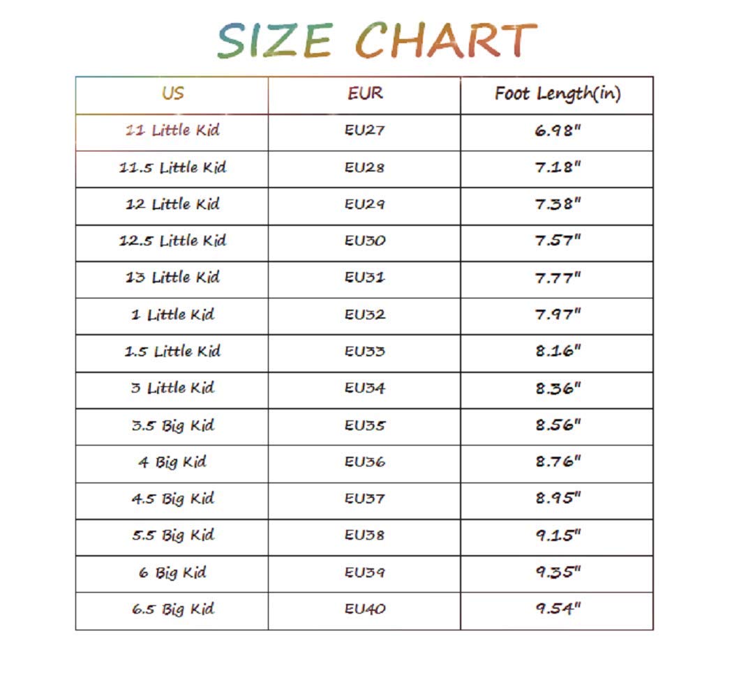 Ehauuo Kids Two Wheels Shoes with Lights Rechargeable Roller Skates Shoes Retractable Wheels Shoes LED Flashing Sneakers