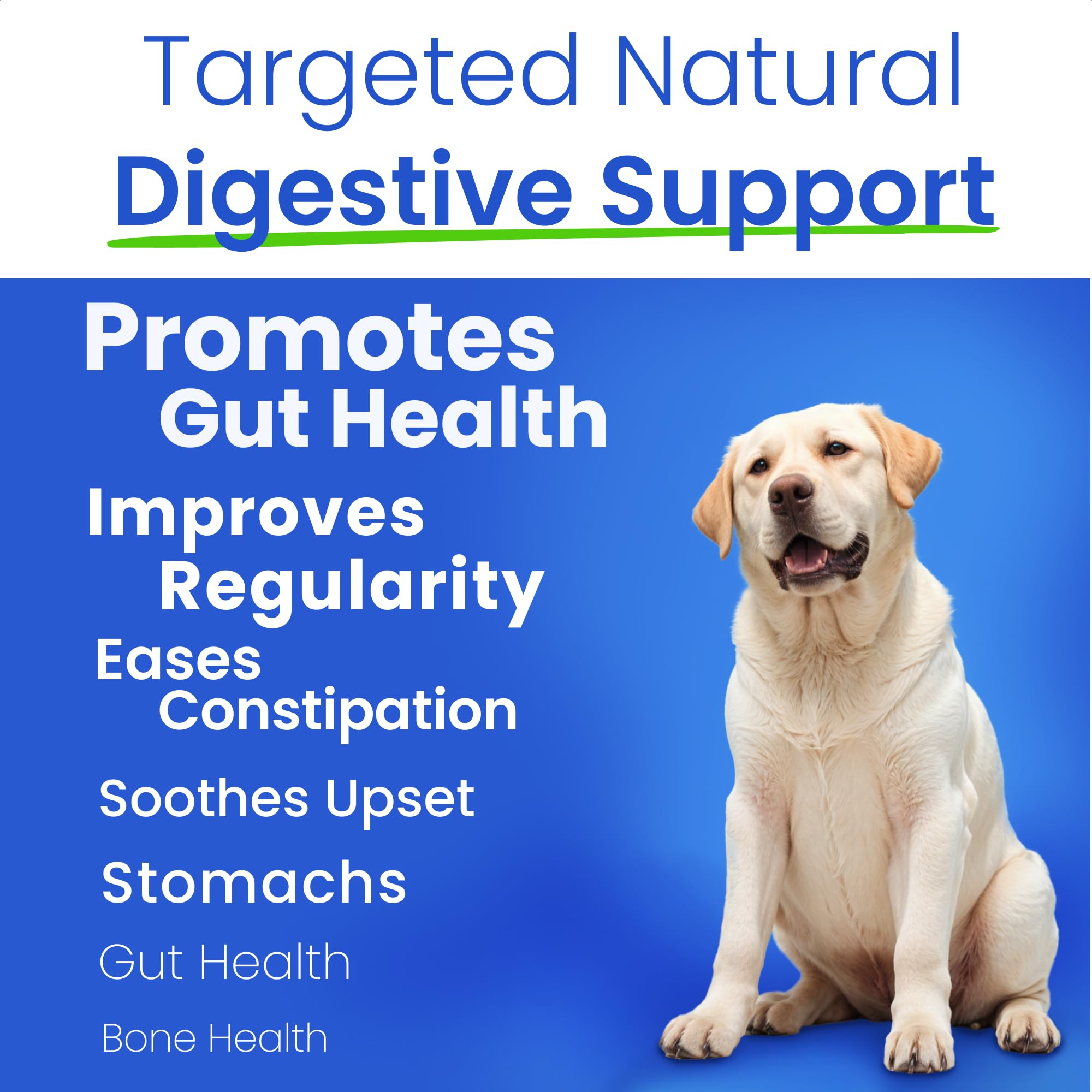 Pumpkin for Dogs - Apple, Pumpkin Seeds and Pumpkin Fruit - Fiber Supplement and Stool Softener - Diarrhea, Constipation, Upset Stomach, Food Sensitivity - Improve Digestion - 6oz Unflavored