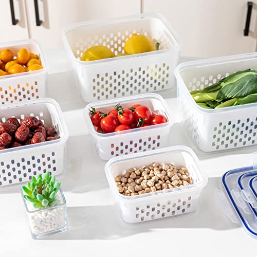 Yiser Double Layer Draining Basket Fresh Keeping Box Kitchen Supplies Sealed Box Plastic Fresh Keeping Box Refrigerator Fruit Storage Sticky Rice Basket (C, One Size)