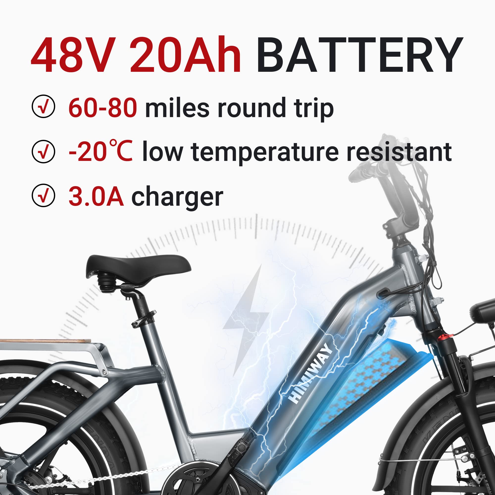 Himiway Big Dog 20X4'' Fat Tire Electric Bike Cargo Ebike 750W 48V 20Ah Removable Battery