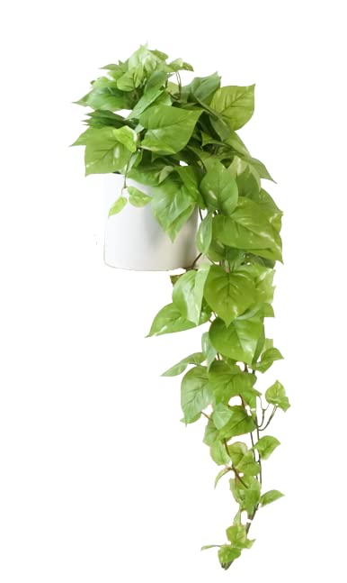 Retrograde 32" Realistic Fake Pothos Ivy Plant Silk Artificial Plant Large (Light Green)