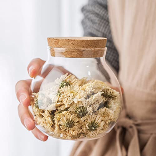 Snminetal 17oz Glass Jar Storage Containers,Wedding Candy Jar Kitchen Canisters, With Cork Airtight Lid, Perfect For Tea, Biscuits, Cereals, Flour, beans, Spices, Coffee Beans (2PCS)