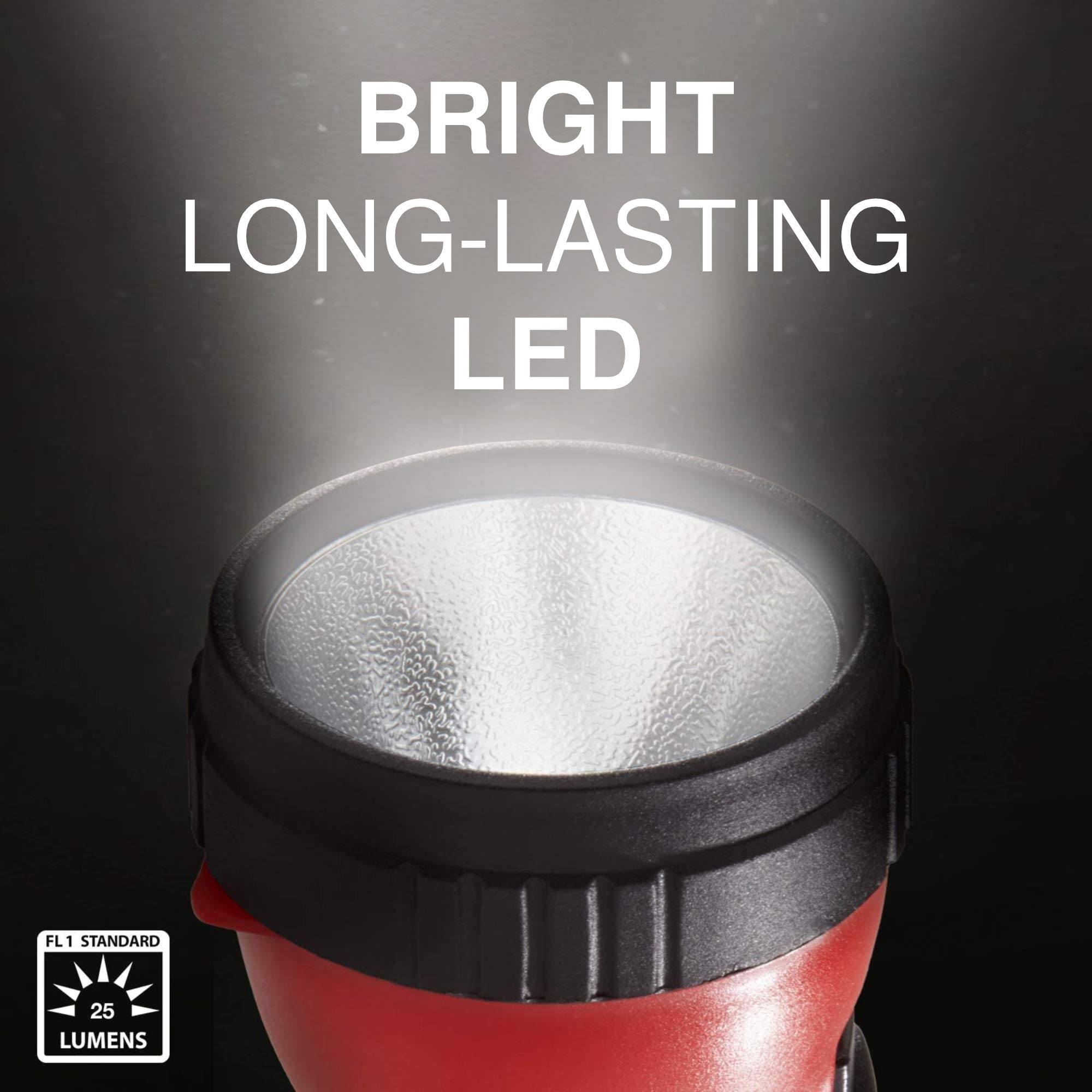 Eveready General Purpose LED Flashlight 2 Pack