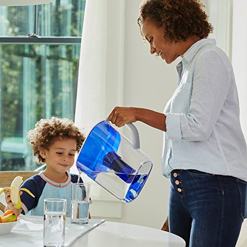 PUR PLUS Water Pitcher Filtration System, 11 Cup β PUR Water Filter Pitcher, PPT111W
