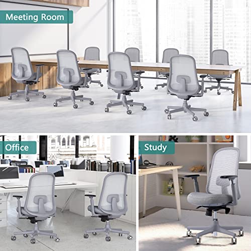 Odinlake Ergonomic Office Chair Mesh - 3D Adjustable Armrest Home Office Desk Chairs with Lumbar Support - Computer Swivel Task Chair Mid Back Office Chairs with PU Wheels(Model: Ergo Core 625)