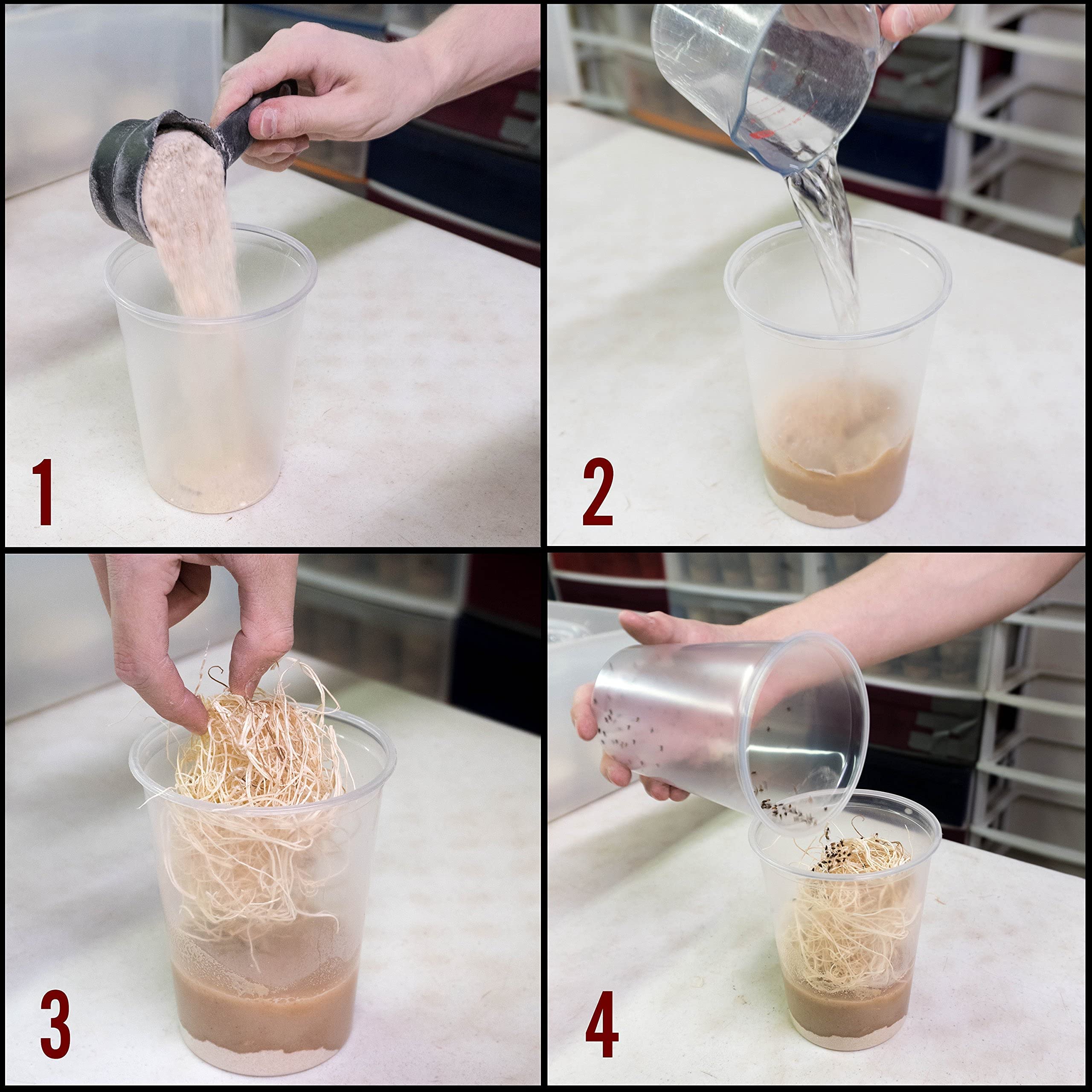 Josh's Frogs Melanogaster Fruit Fly Culturing Kit with Media, Vented Cups, and Excelsior (Small)