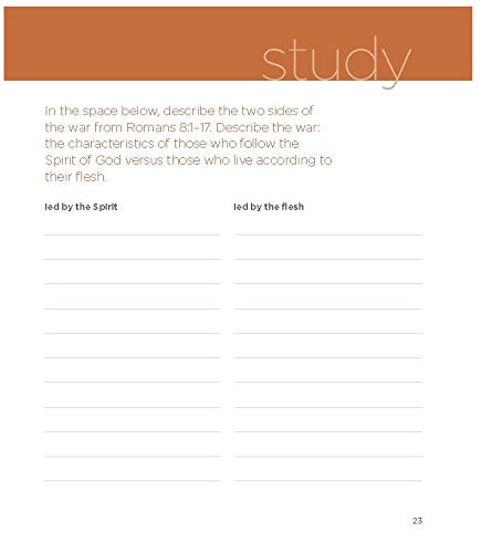 Stuck Bible Study Guide: The Places We Get Stuck and the God Who Sets Us Free