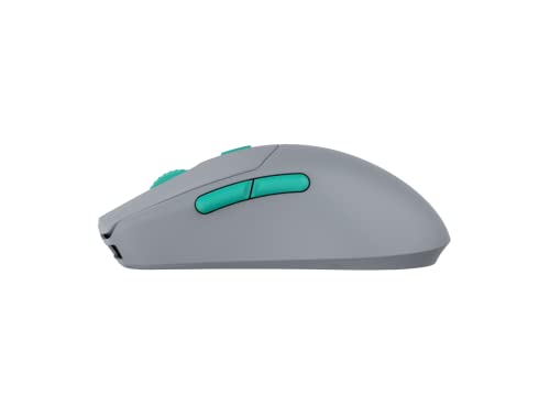 G-Wolves HTS Plus 4k Wireless Gaming Mouse -4k Reporting Rate- PAW3399 Sensor - 50 to 20,000 CPI - 48±2Gram -(Grey)