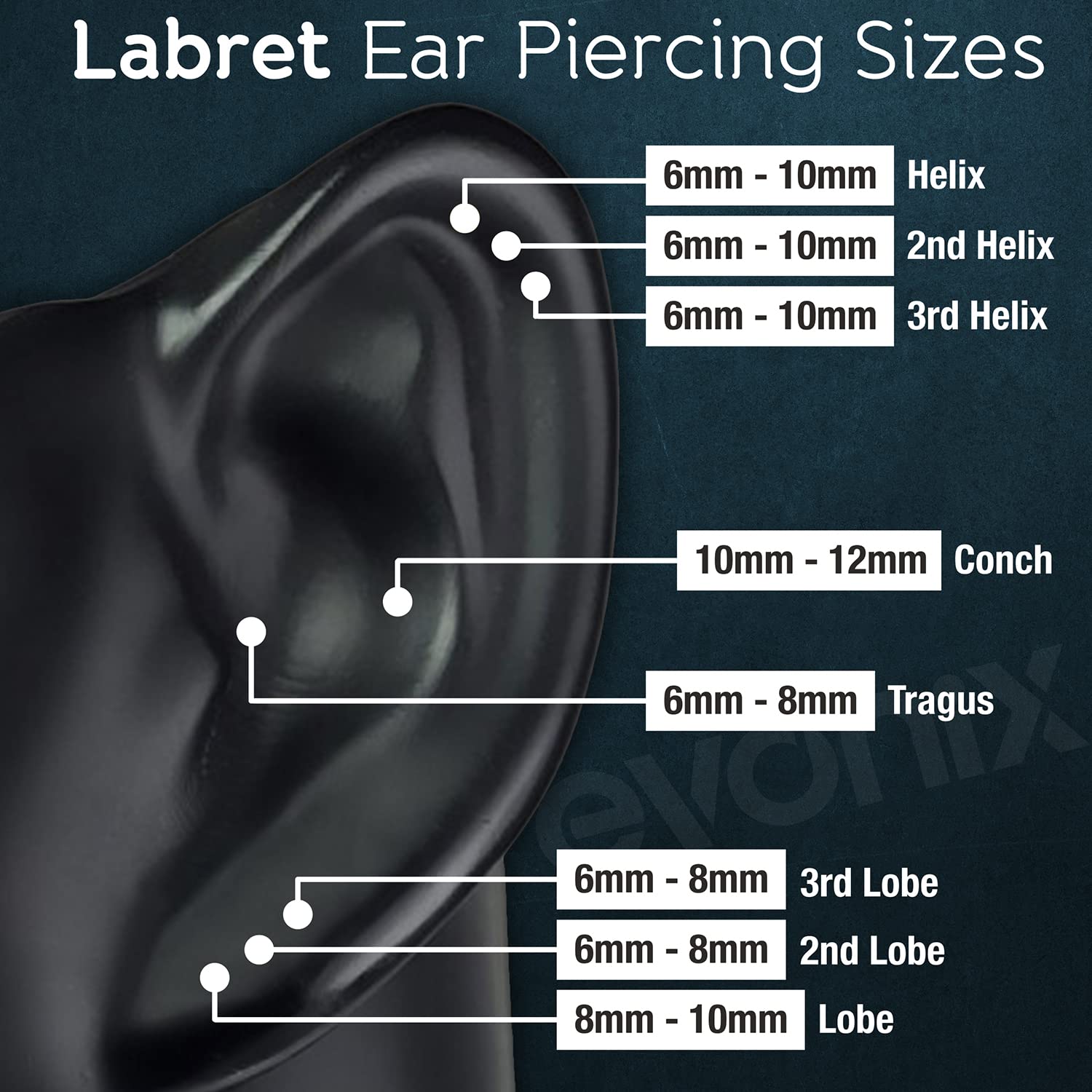 Evonix 2pc 14g Labret Studs Lip Ring Monroe Tragus Snake Spider Bites Forward Helix Cartilage Dahlia Conch 316L Surgical Steel 4mm Spike - 6mm