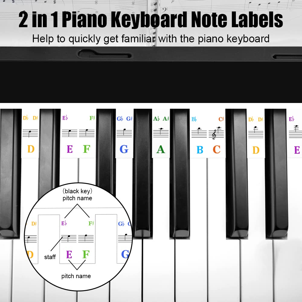 HiFan Removable Piano Keyboard Note Labels Without Sticking, 2 in 1 Piano Key Labels with Pitch Name & Staff, Durable Piano Note Labels for Beginner (88-key Standard Full Size)